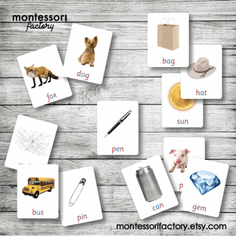What Are Montessori 3 Part Cards?